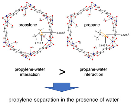 Noro lab|Course in Environmental Adaptation Science|Division of ...